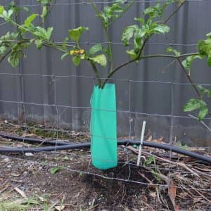 Vine Guard Sleeves - 100mm diameter - 270 meters - Sage Horticultural