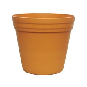Terracotta Colour - Sage Horticultural